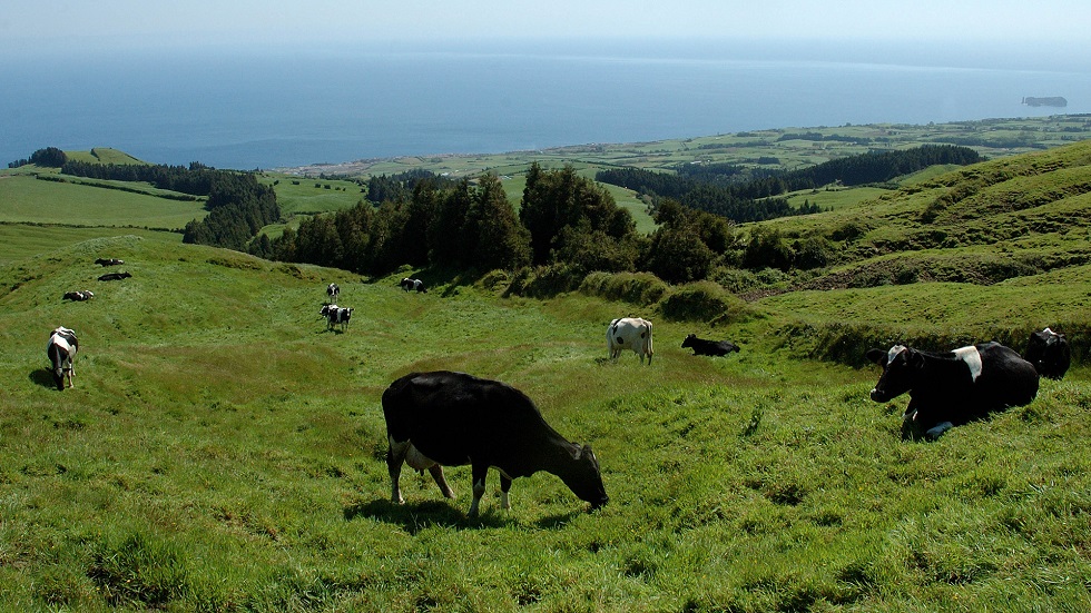 AÇORES | Agricultores receberam hoje apoio excecional pelo aumento dos ...