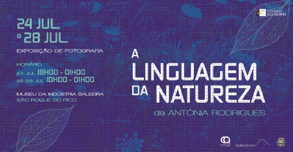 PICO | Exposição de fotografia “A linguagem da natureza”, de Antónia ...